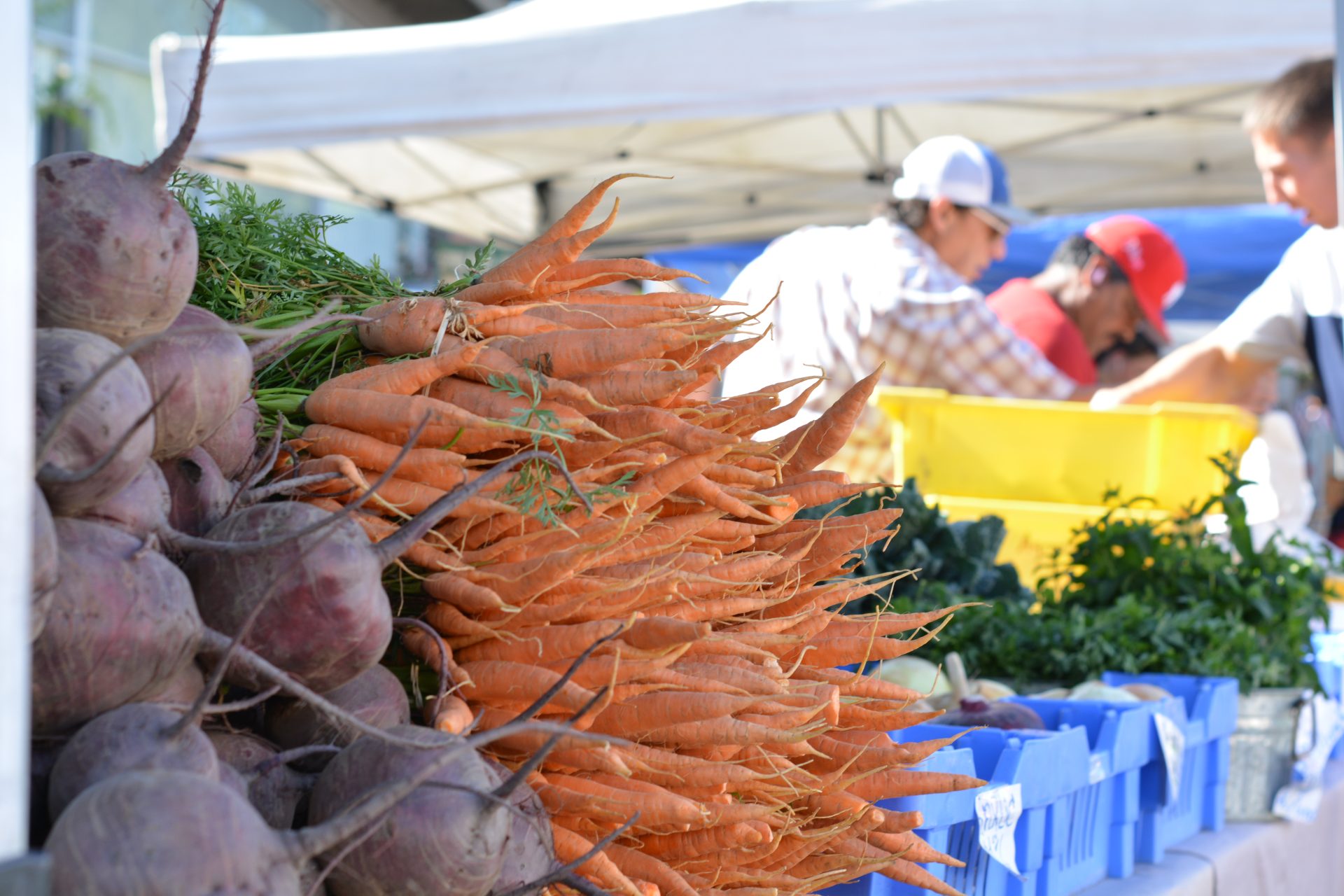 Things to Know and Places to Go: Old Town Farmers Market | Clovis Roundup