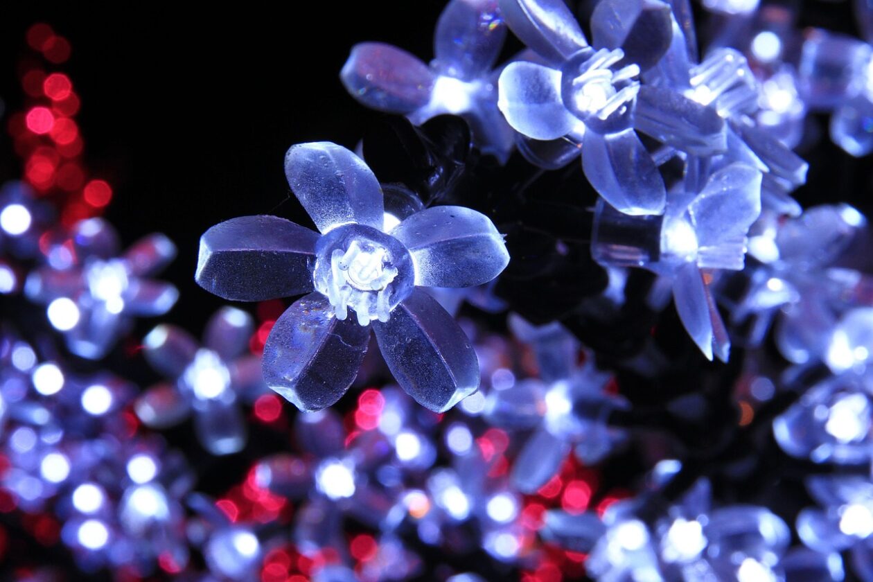 Last chance to experience the magic of Candy Cane Lane | Clovis Roundup